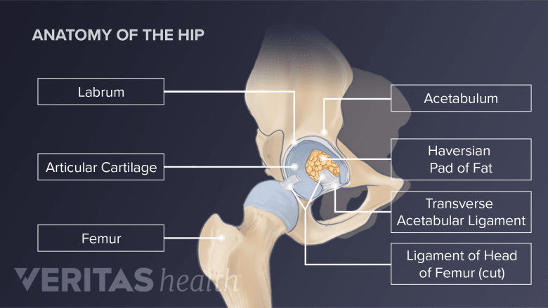 What Causes Hip Pain While Sitting and How to Relieve It | Sports-health