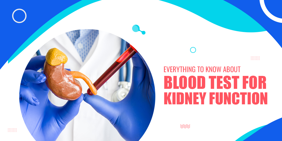 Everything to Know About Blood Test for Kidney Function | Walk in Clinic