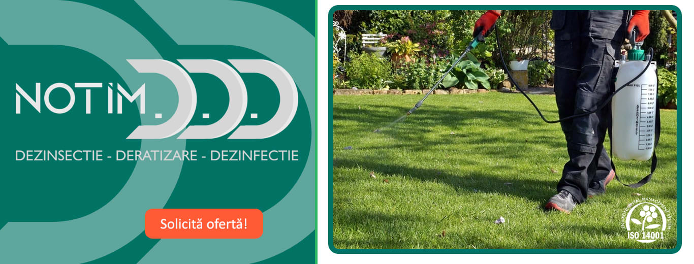 Rezidential - Notim DDD