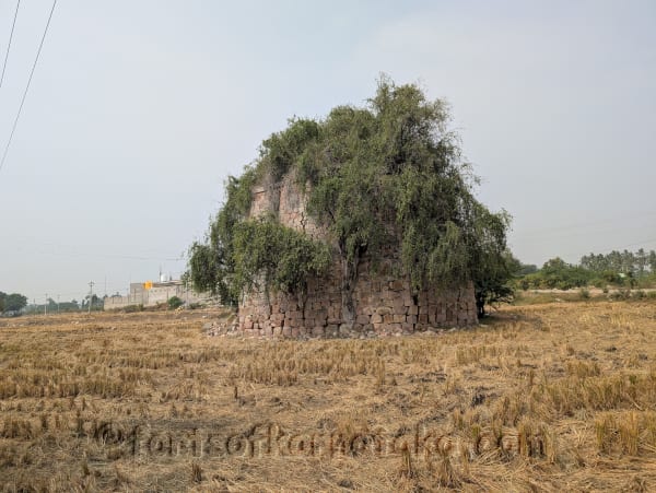 Siruguppa | Forts of Karnataka
