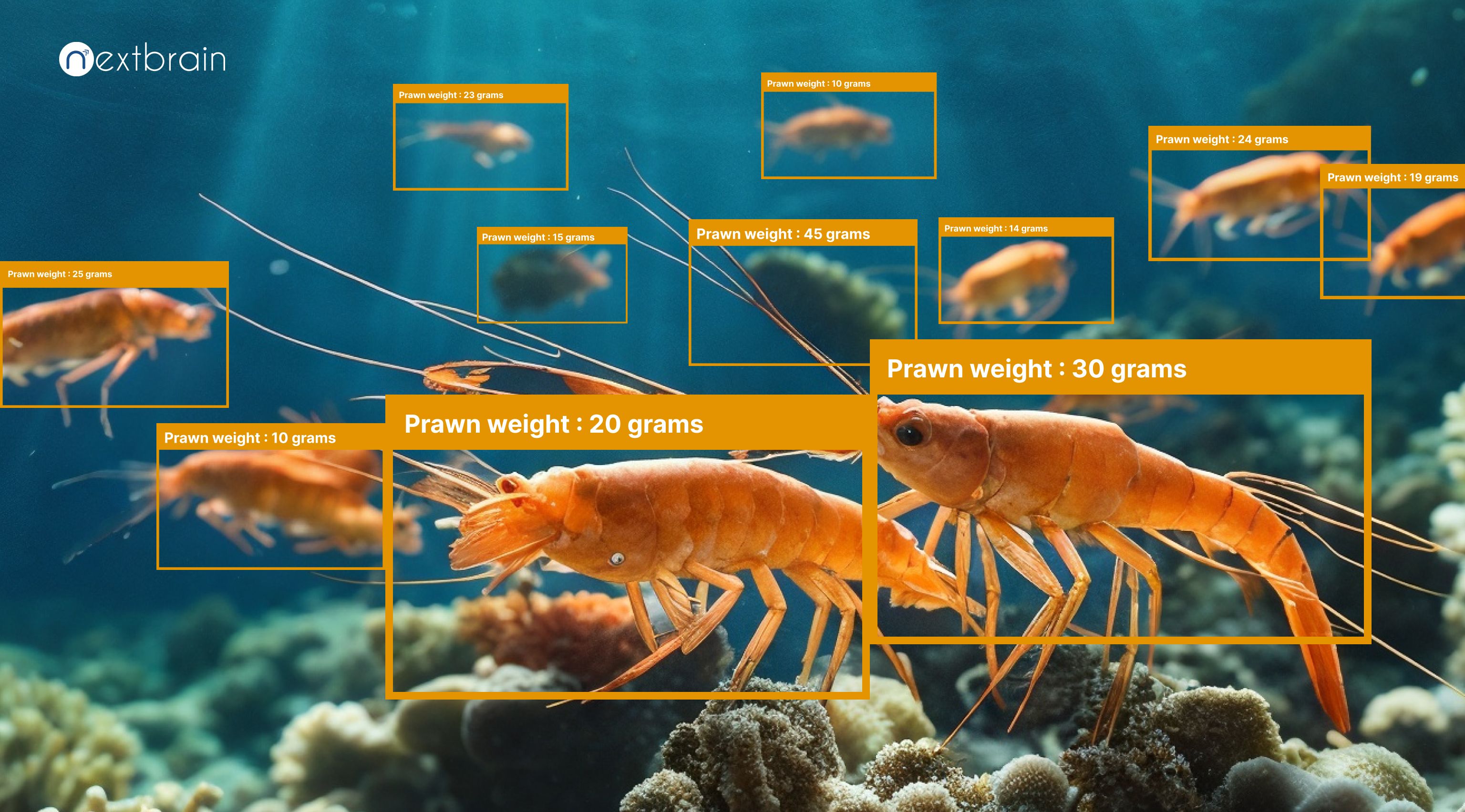 Leveraging Computer Vision AI for fish and prawn farms in aquaculture ...