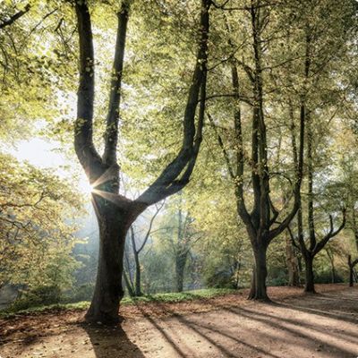 Process Therapy Institute Profile - ThrivingCampus