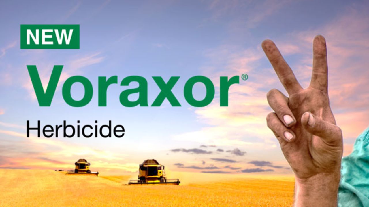 Content Hub | CropSolutions Australia