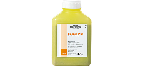 REGALIS PLUS | CropSolutions Australia