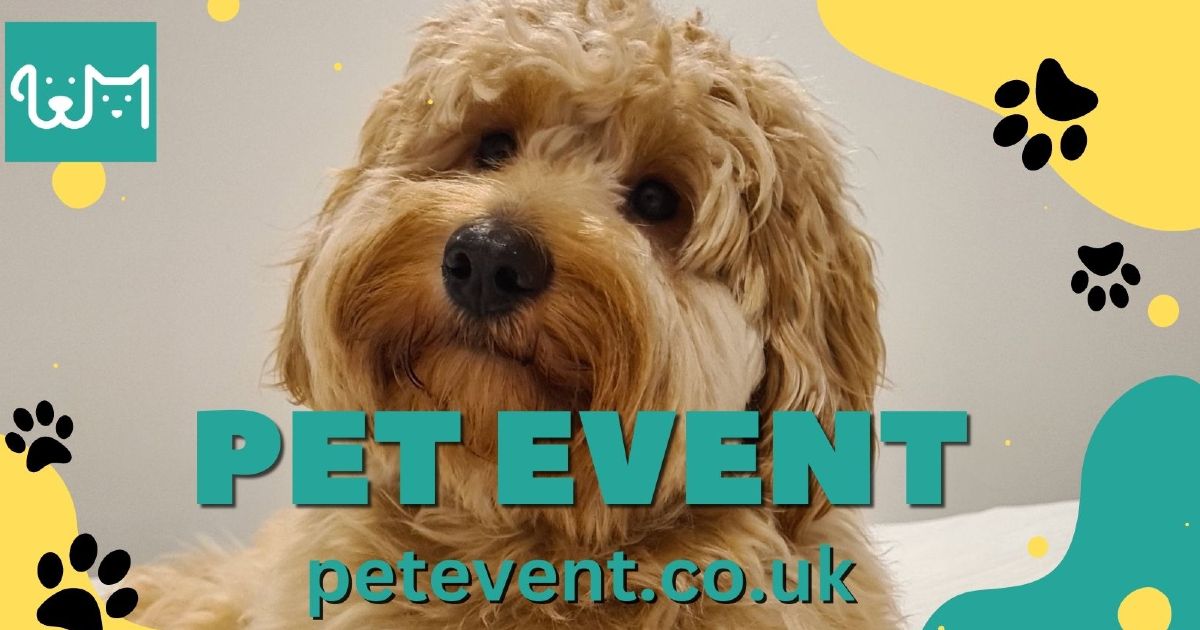 Find the purrfect event for you and your furry friend | Pet Event