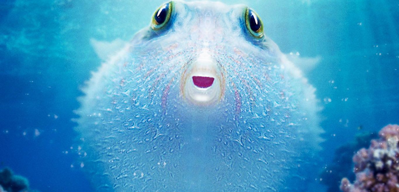 Puff: Wonders of the Reef by Netflix