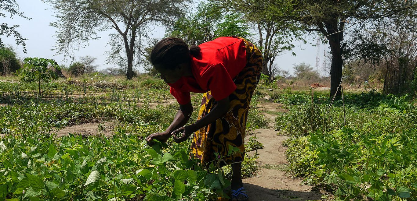 WhereNext | Environmental Conservation in Malawi