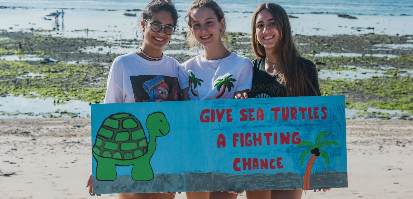 WhereNext | Turtle Conservation in Bali