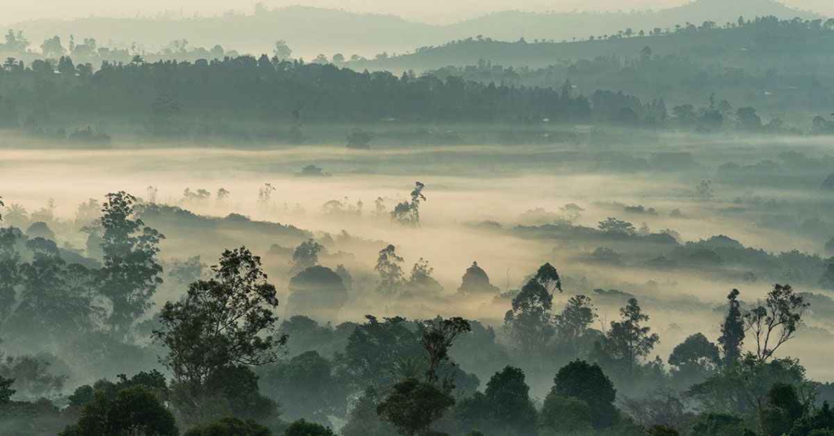 Cameroon Tourism, Travel & Experiences | WhereNext