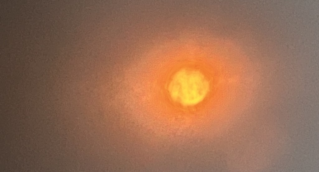 Randy (@randy) | daily.dev