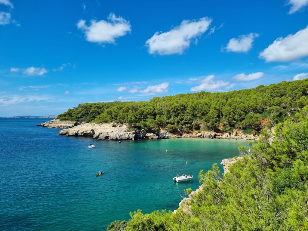 Ido Shamun | daily.dev