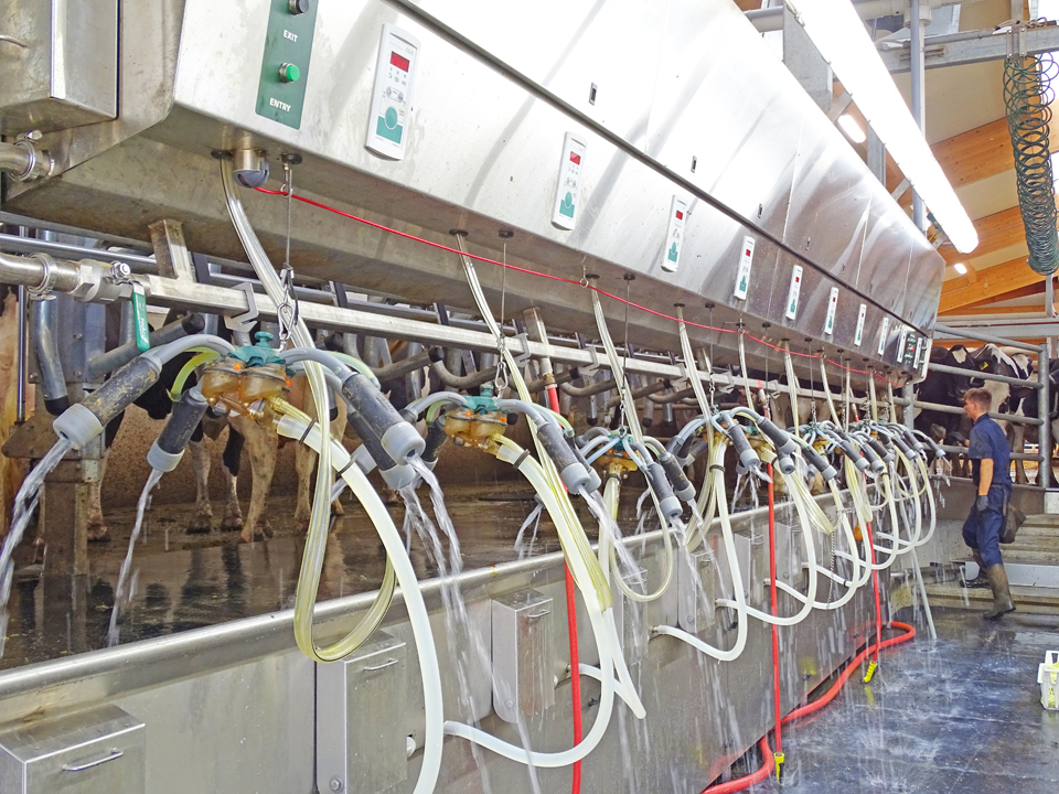 Westwaard BacTrol Backflush - Dairy Lane Systems - Milking