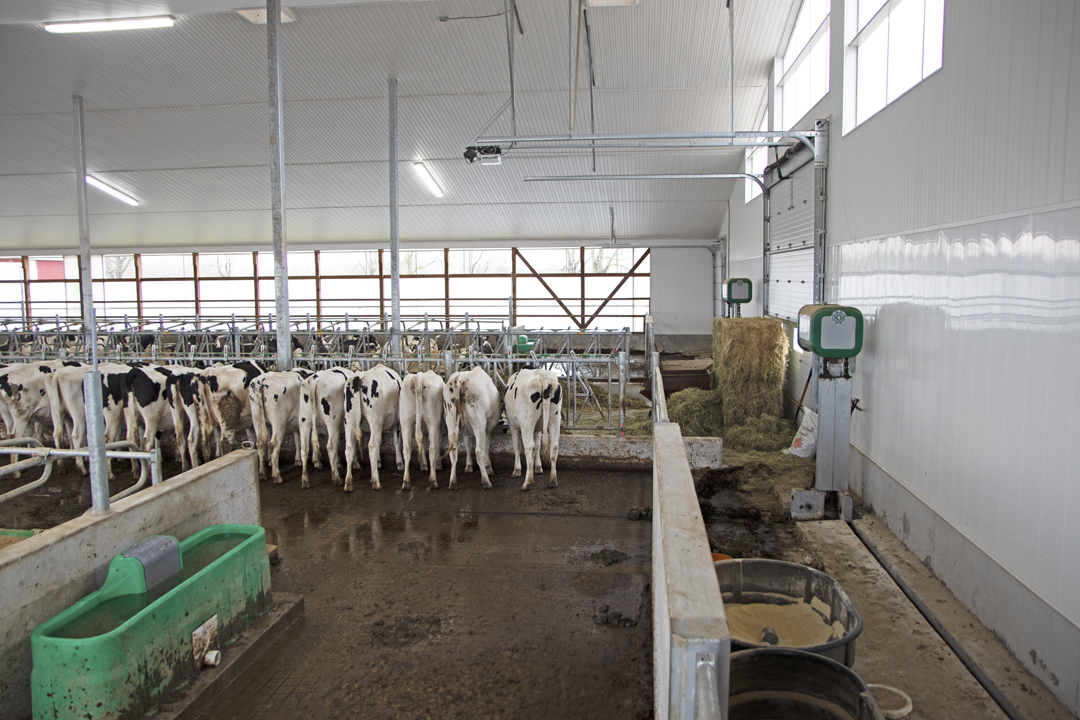 JOZ Scraper Systems - Dairy Lane Systems - Manure Equipment