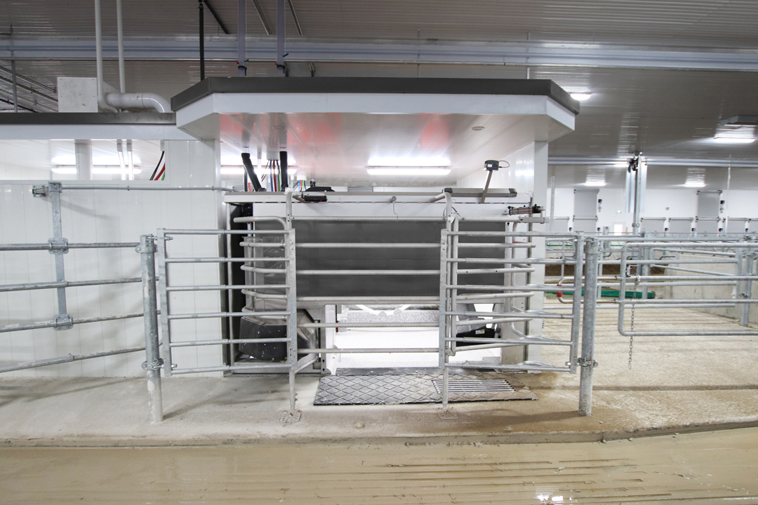 DLS Robot Panel Sets - Dairy Lane Systems - Dairy Barn Equip