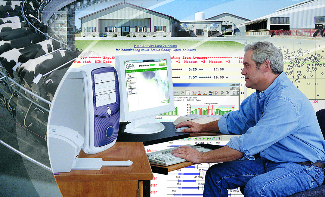 GEA Herd Management Systems - Dairy Lane Systems - Milk Cows