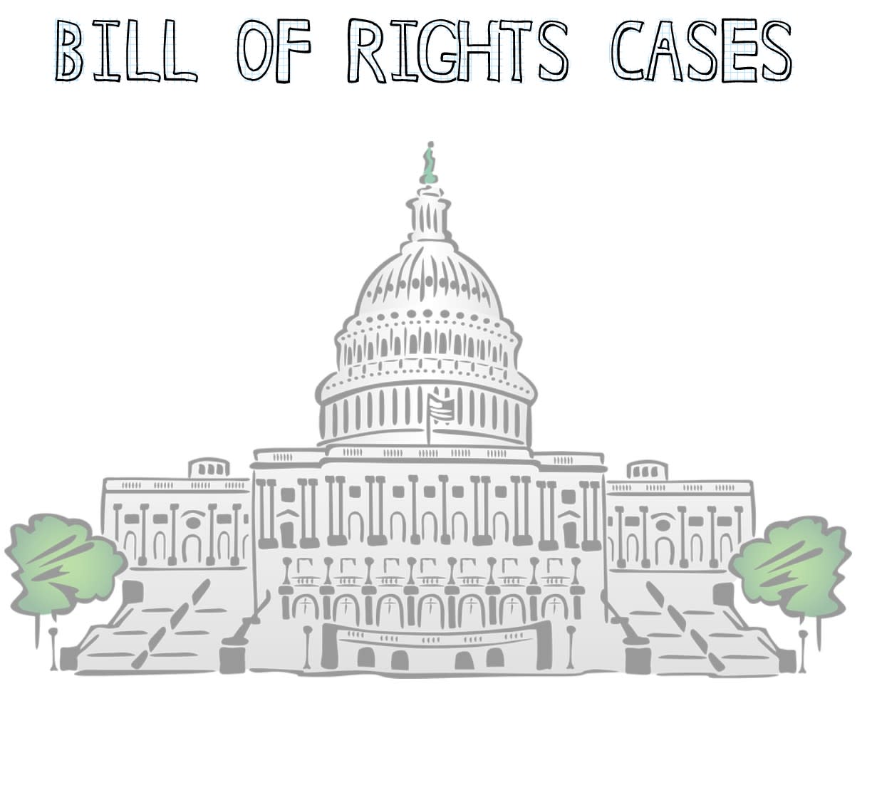 Bill of Rights Court Case Overview