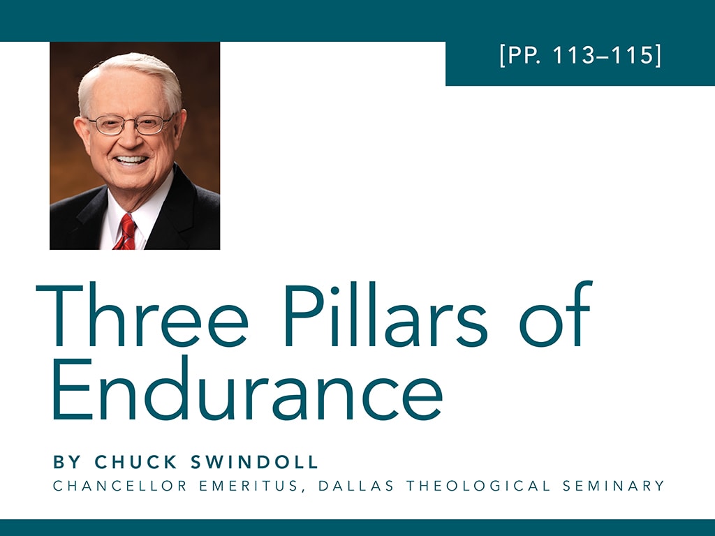 Three Pillars of Endurance - DTS Voice