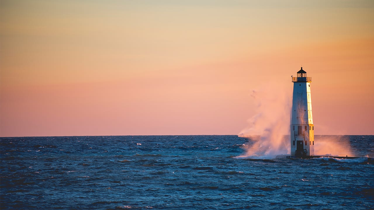 Out King-ing the Fox - DTS Voice