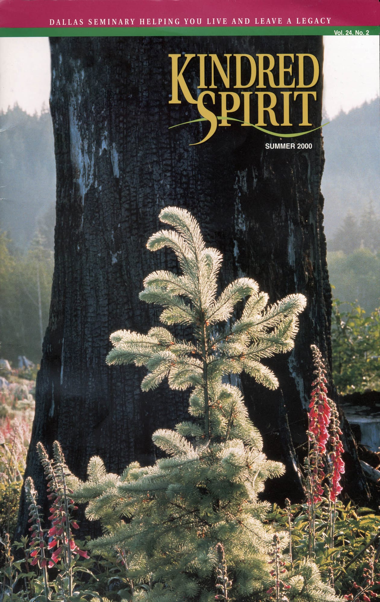 Jesus and the Fifth Commandment - DTS Voice