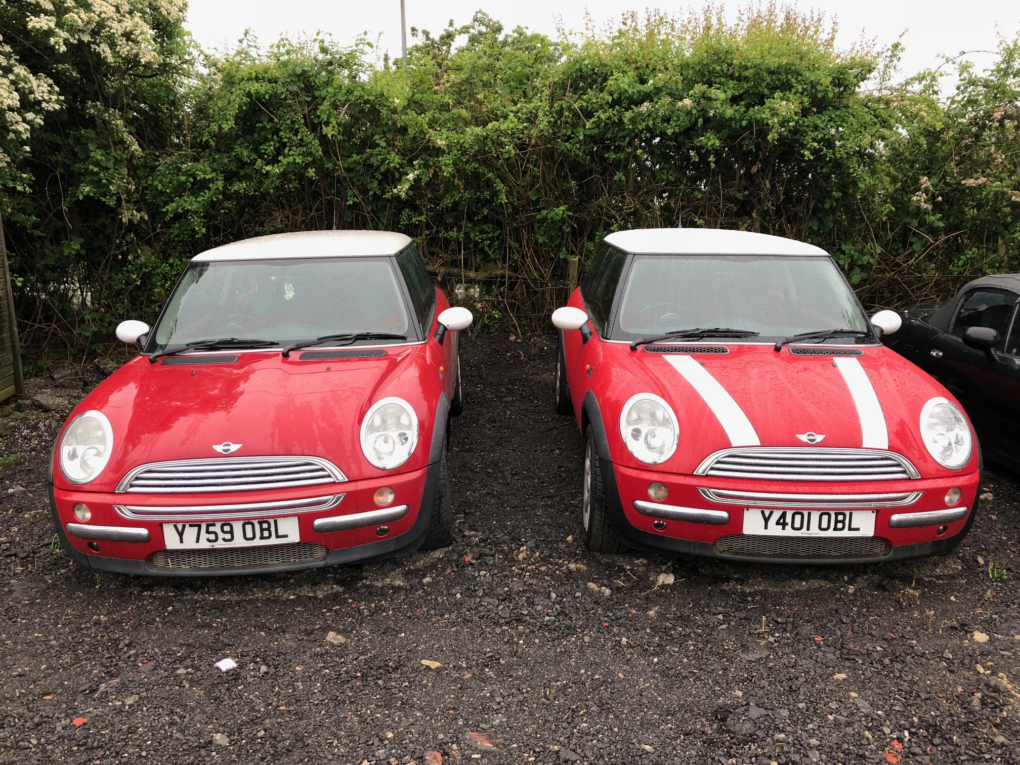 Y401OBL | MINI Y Register