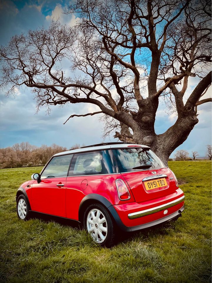 OY51TBO | MINI Y Register