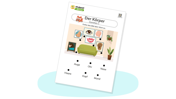 German body vocabulary matching worksheet #1 | Fun German with Studycat