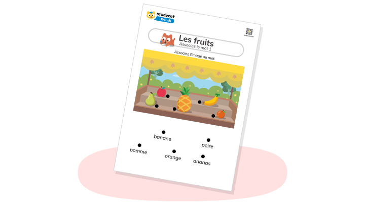 Match the French fruit words worksheet 1 | Learn French with Studycat