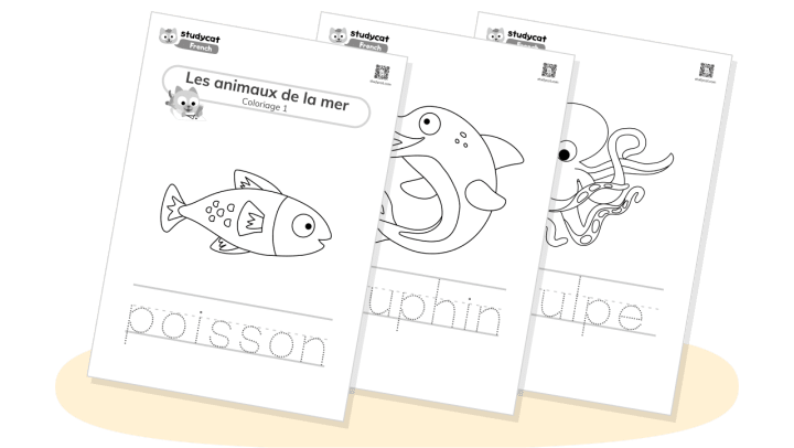 Learn French sea animal names | Fun French with Studycat