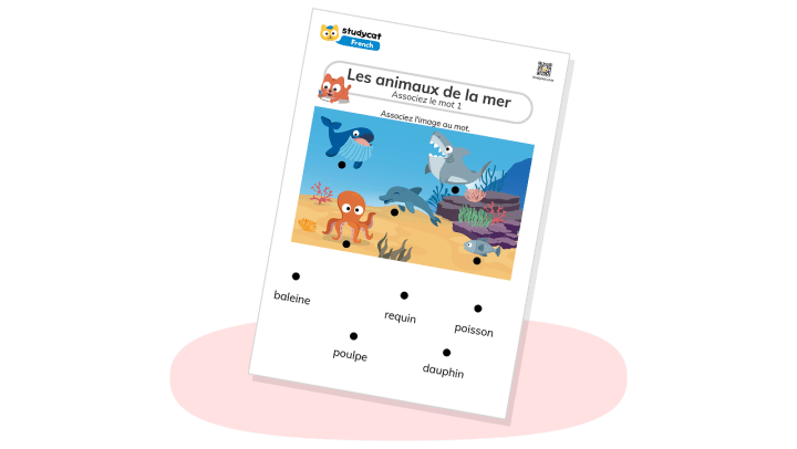 Match French sea animal names | Sea animal worksheet 1