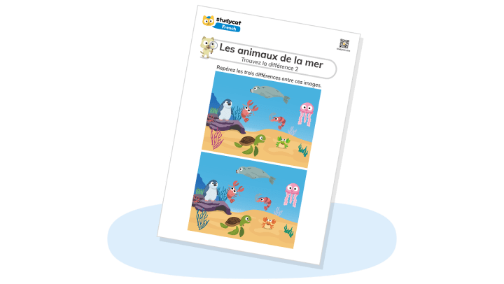Spot the difference with sea animals | Fun French with Studycat