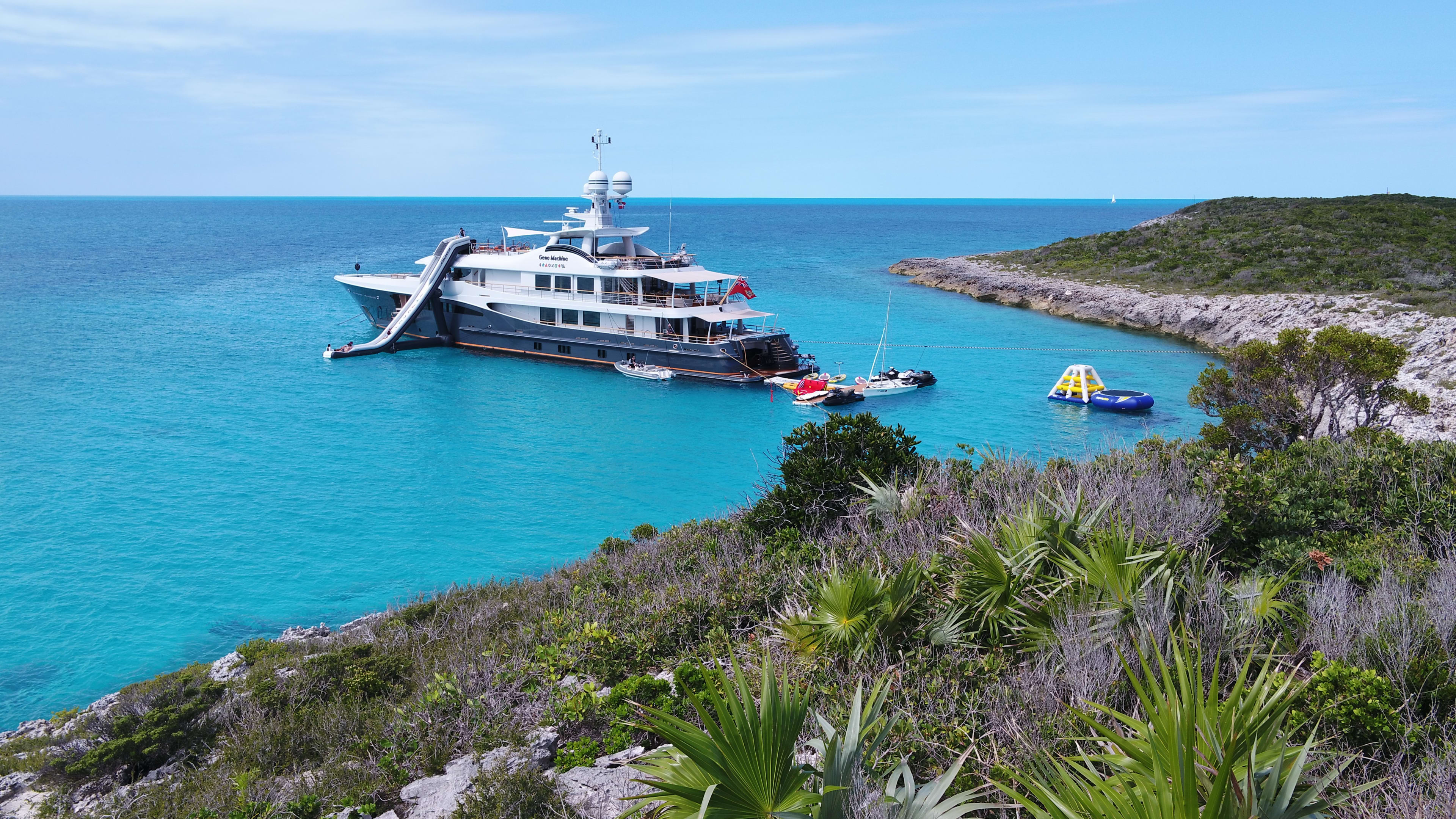 Amels | GENE MACHINE