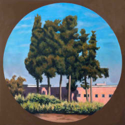 Alex Tubis (אלכס טוביס) - Artist, Dan Gallery