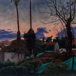 Alex Tubis (אלכס טוביס) - Artist, Dan Gallery