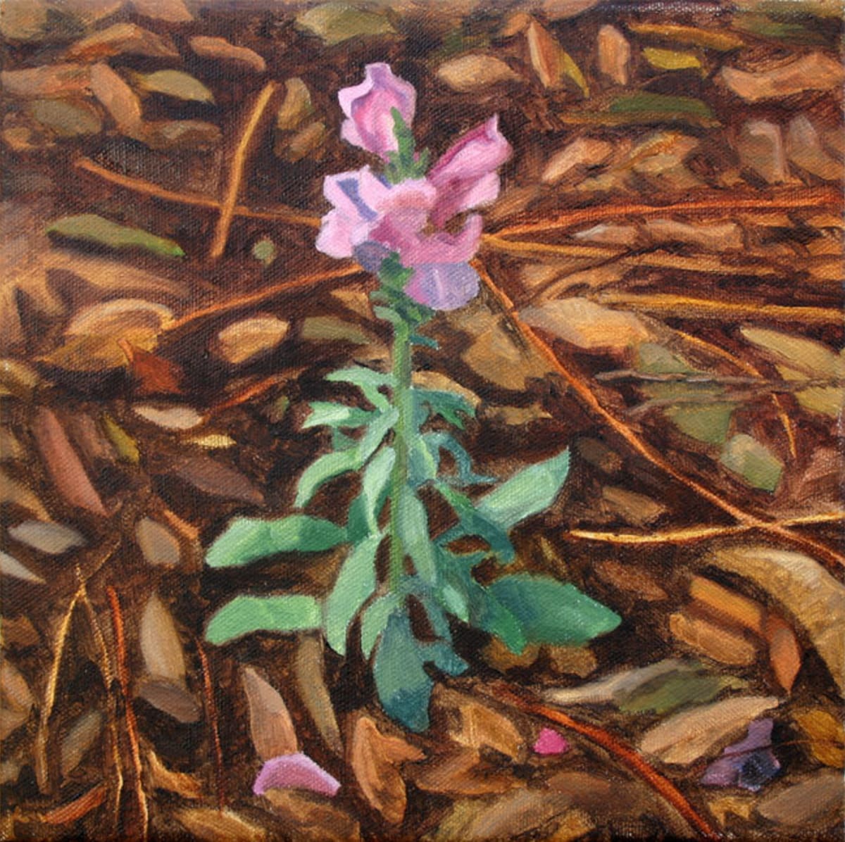 Purple flower, 2012 by Alex Tubis | Dan Gallery