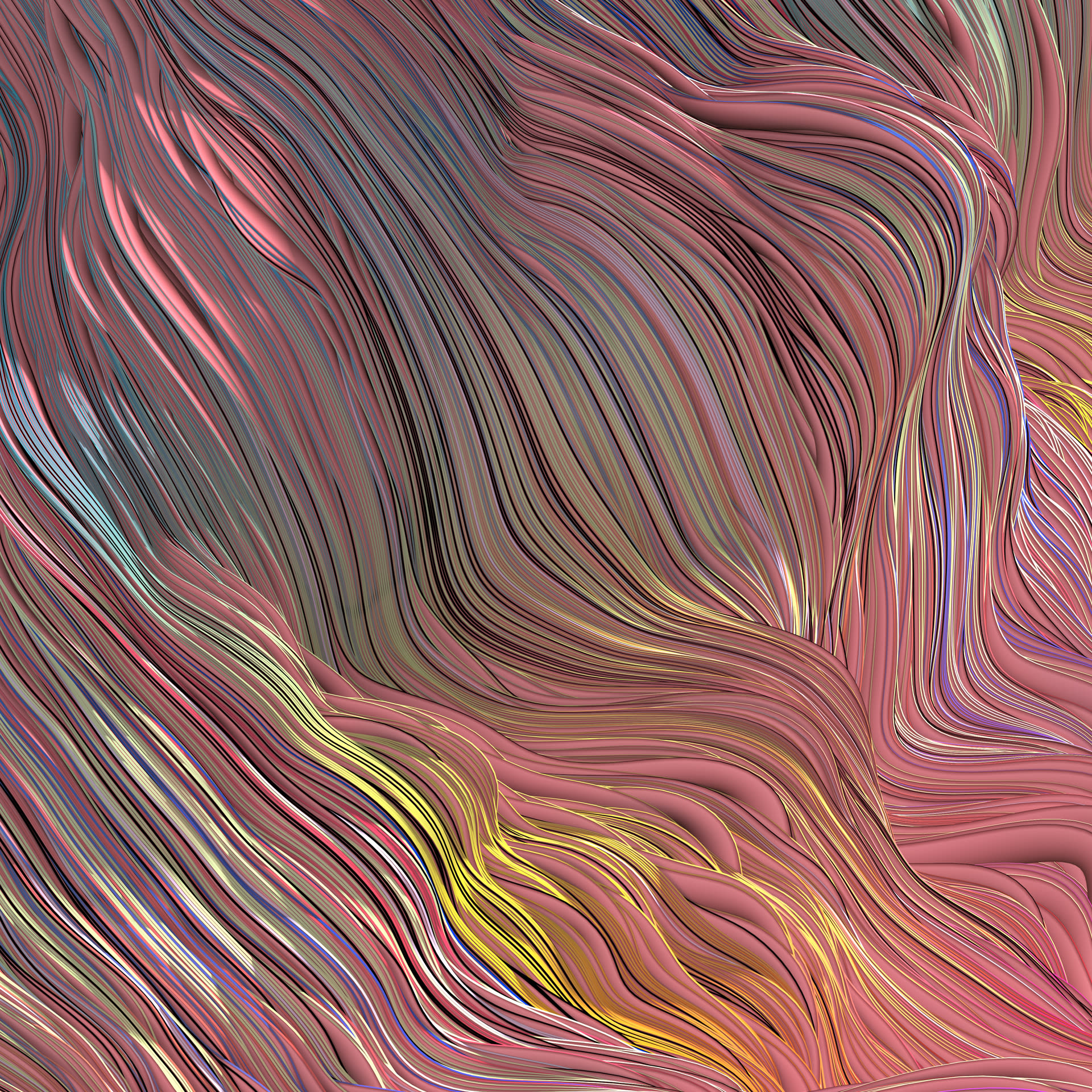 Loop Creative Studio