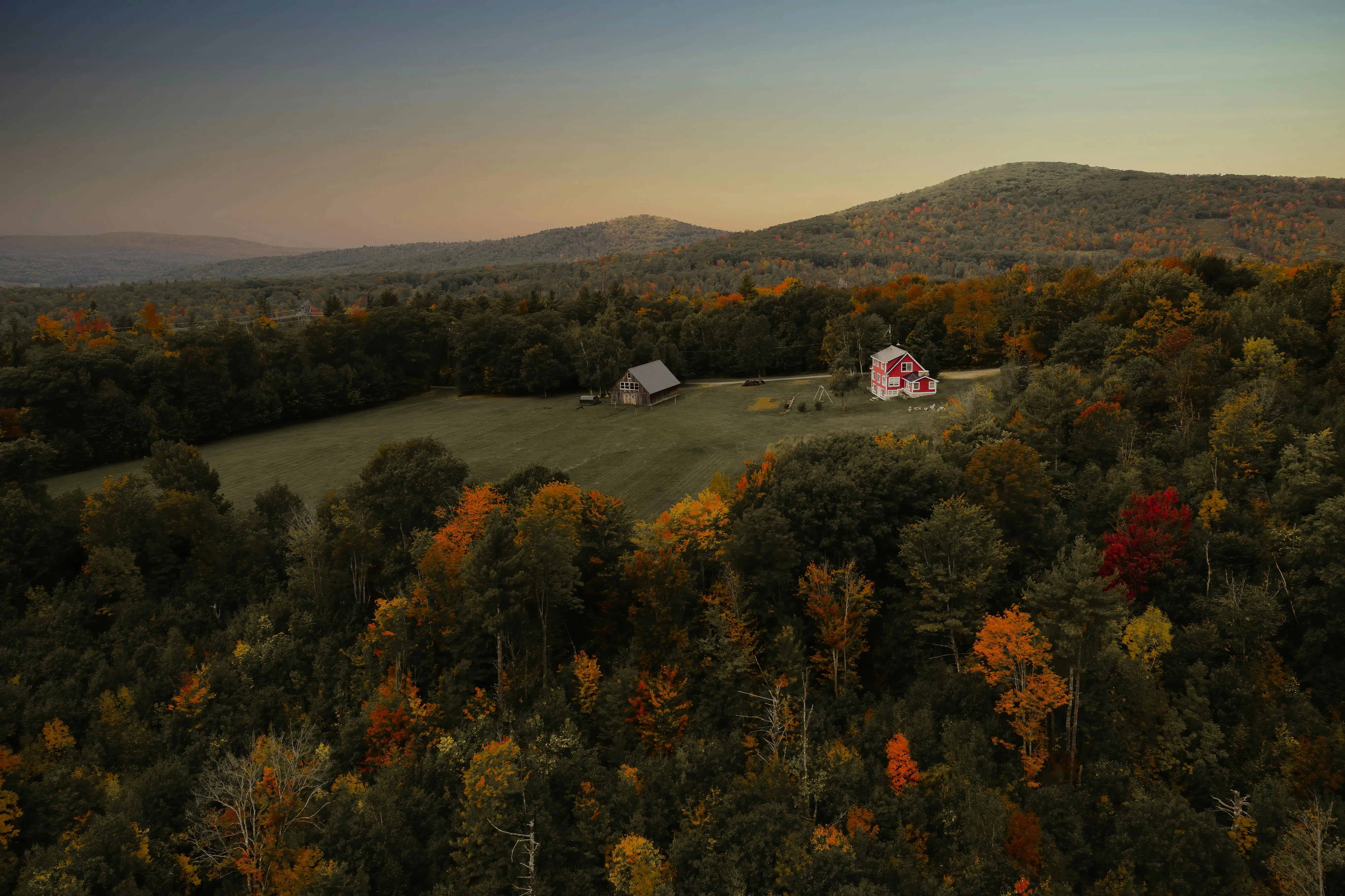 The Benefits and Practices of Tree Farming Promoting Sustainable Forest ...