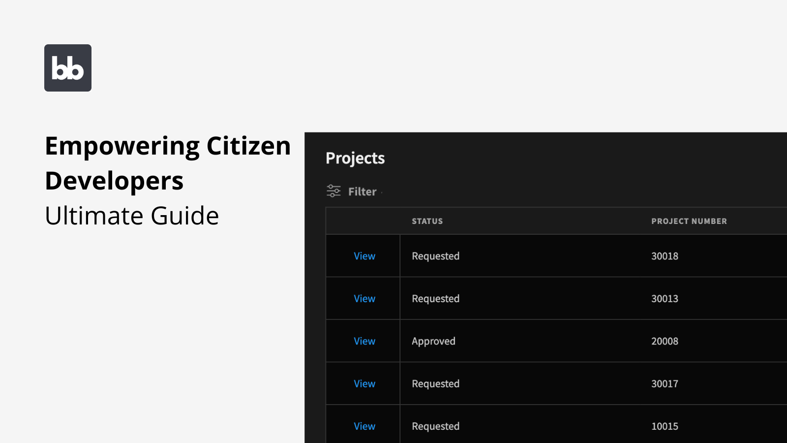Empowering Citizen Developers | Ultimate Guide