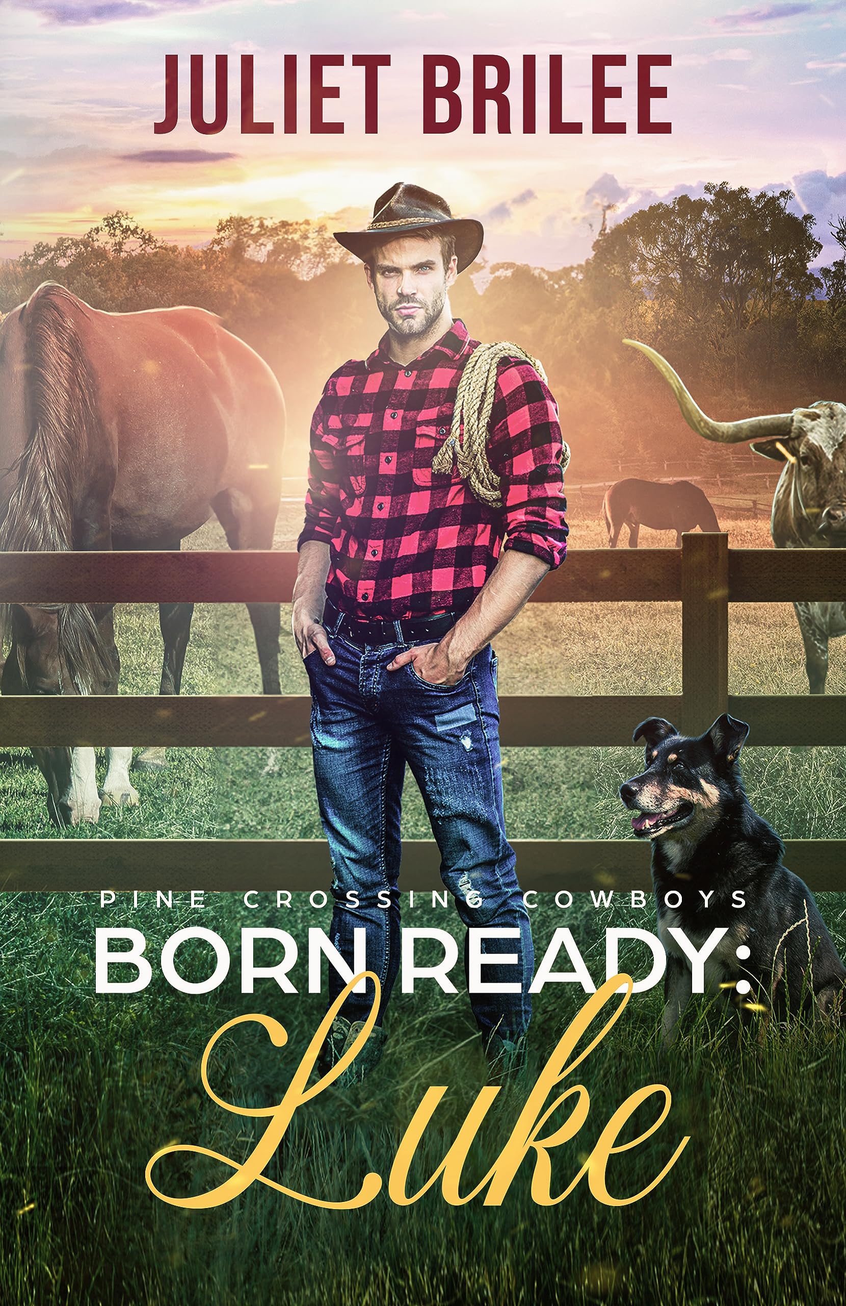 Juliet Brilee's Pine Crossing Cowboys Books in Order • Crewfiction