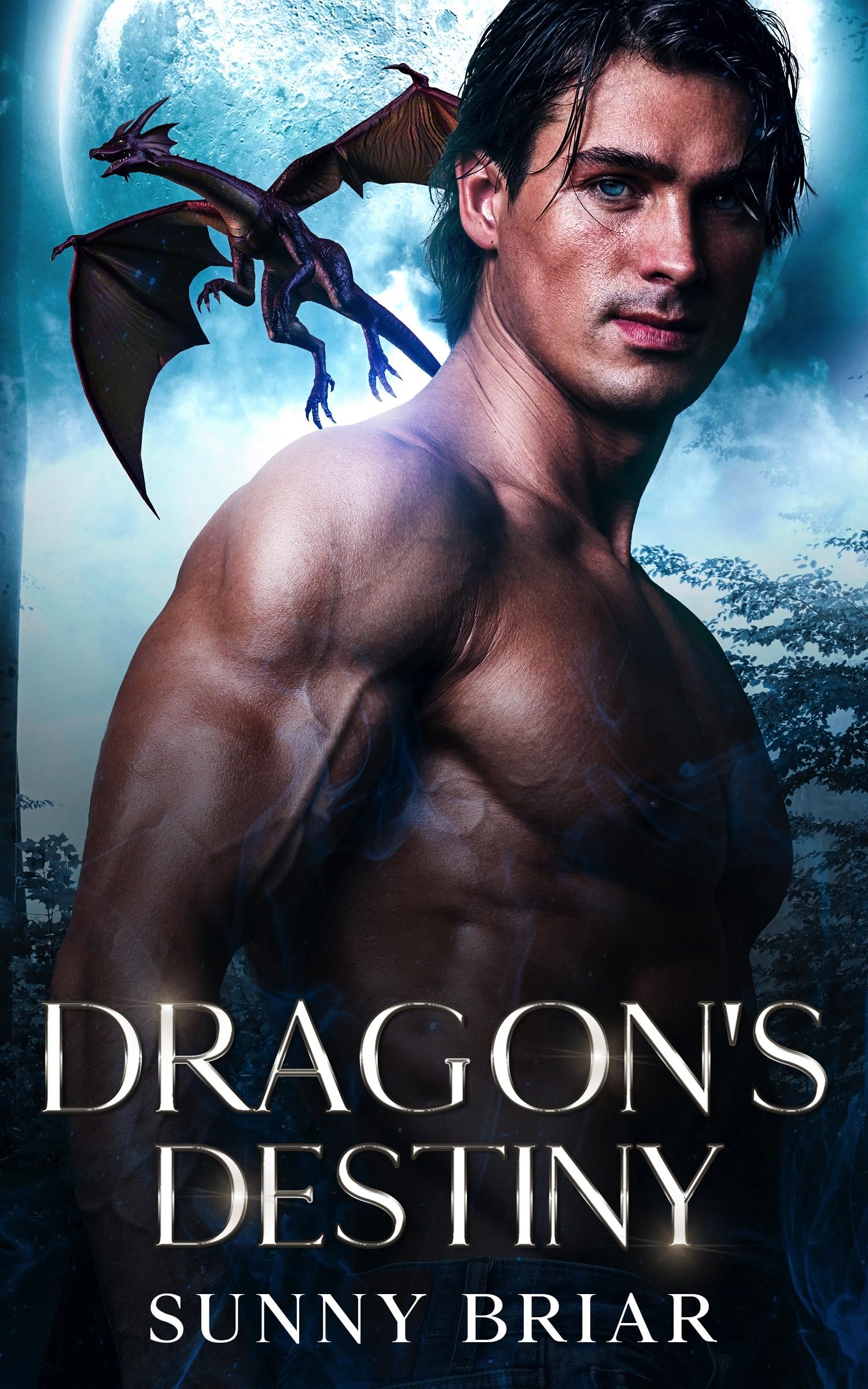 Dragon's Destiny • Crewfiction