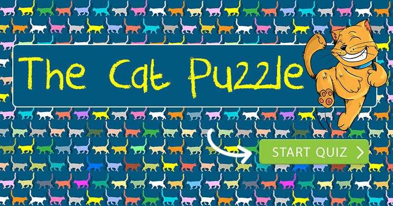 The Cat Puzzle
