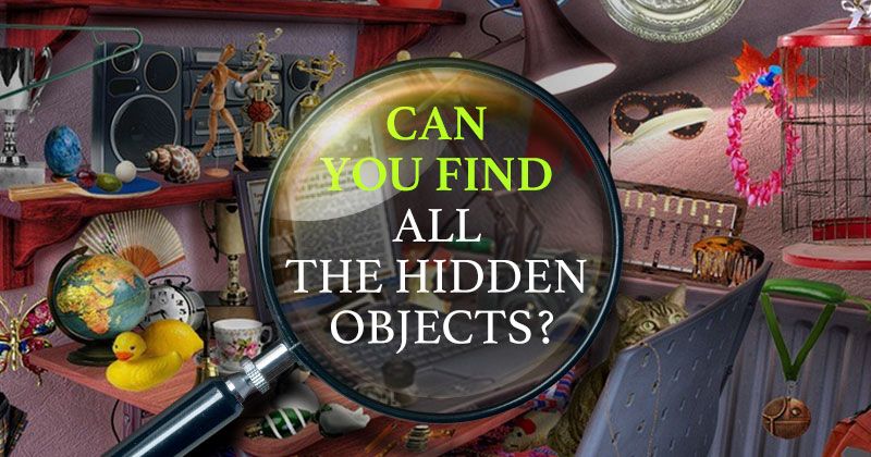 Find the Hidden Objects!