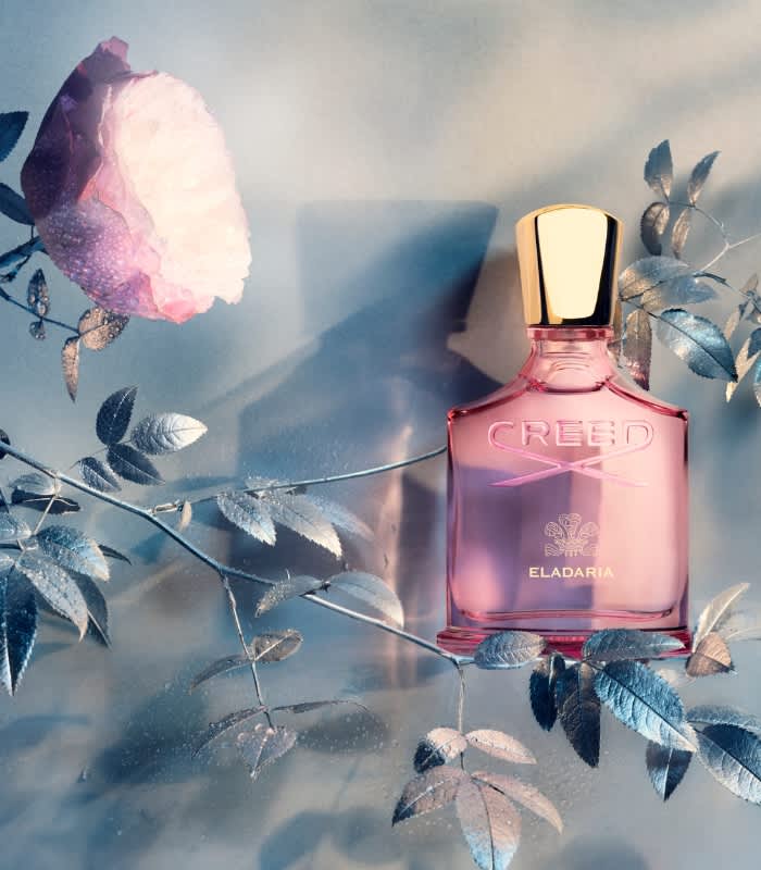 Creed: Shop Creed Perfume | David Jones