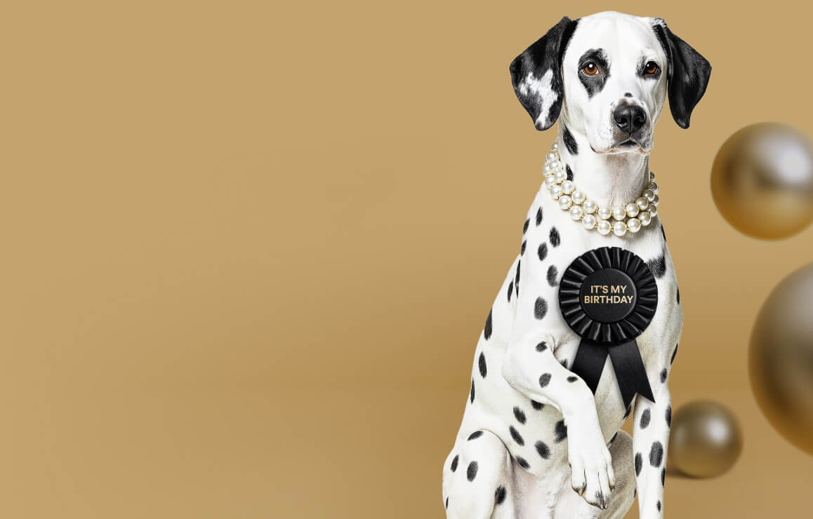 David Jones Rewards | Sign Up For Exclusive Offers & Points