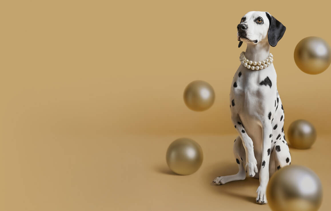 David Jones Rewards | Sign Up For Exclusive Offers & Points