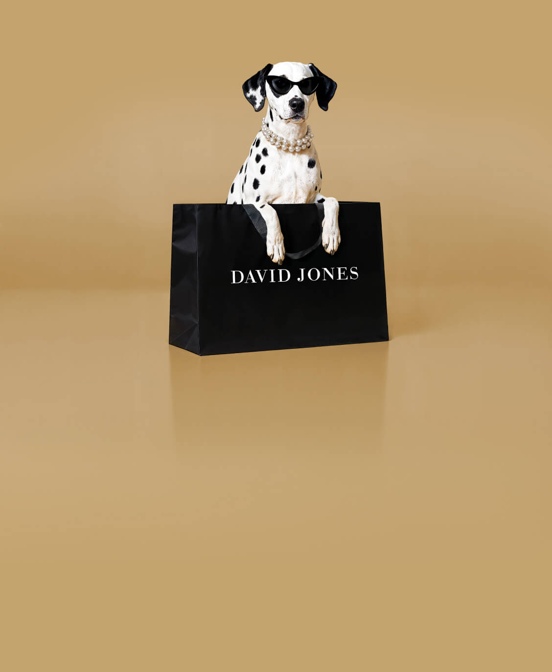 David Jones | Shop Fashion, Beauty, Homewares, Gifts & More