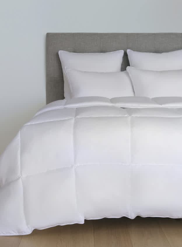 David Jones | Shop Fashion, Beauty, Homewares, Gifts & More