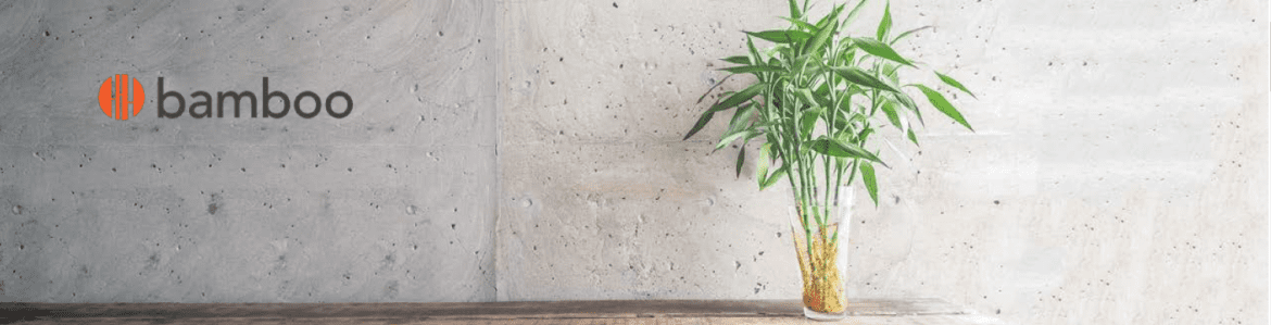 Bamboo Insurance Customer Ratings 2021