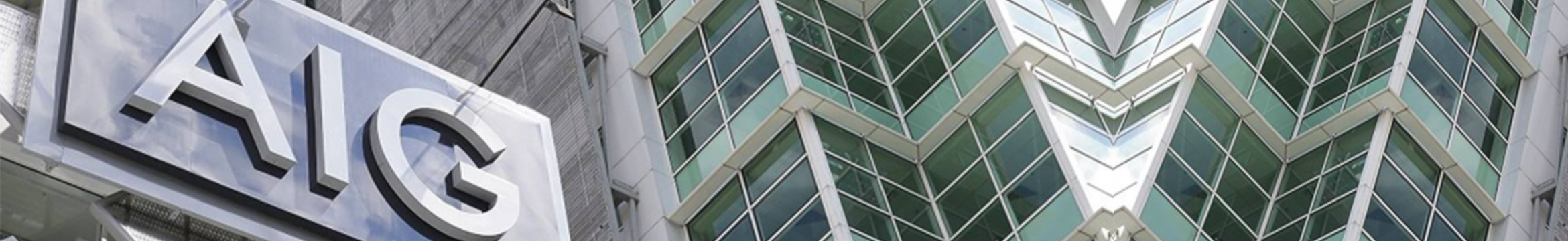 AIG Insurance: Coverage & Ratings