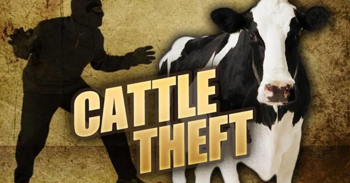 Nagpur: Cattle Smugglers Steal Four Cows and a Bull Worth ₹2 Lakh from ...