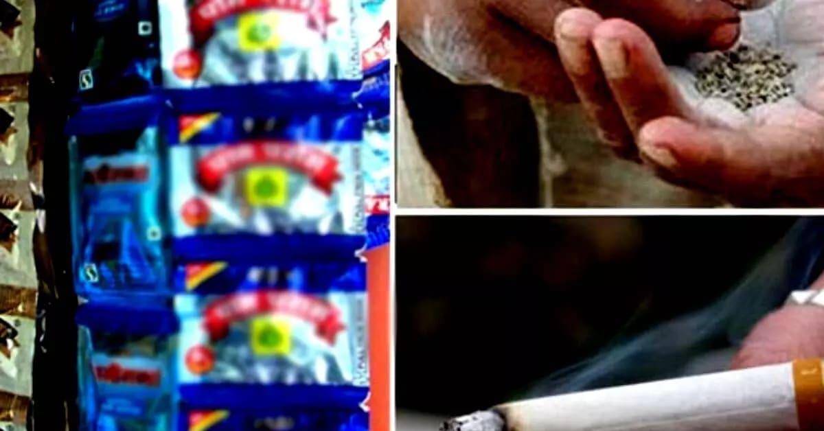Crime Branch Unit 5 busts illegal tobacco unit in Kapil Nagar; two ...